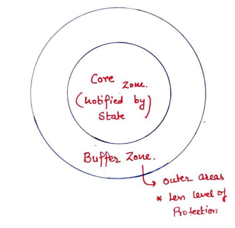 Tiger Reserves are divided into two areas: Core Zone Buffer Zone ...